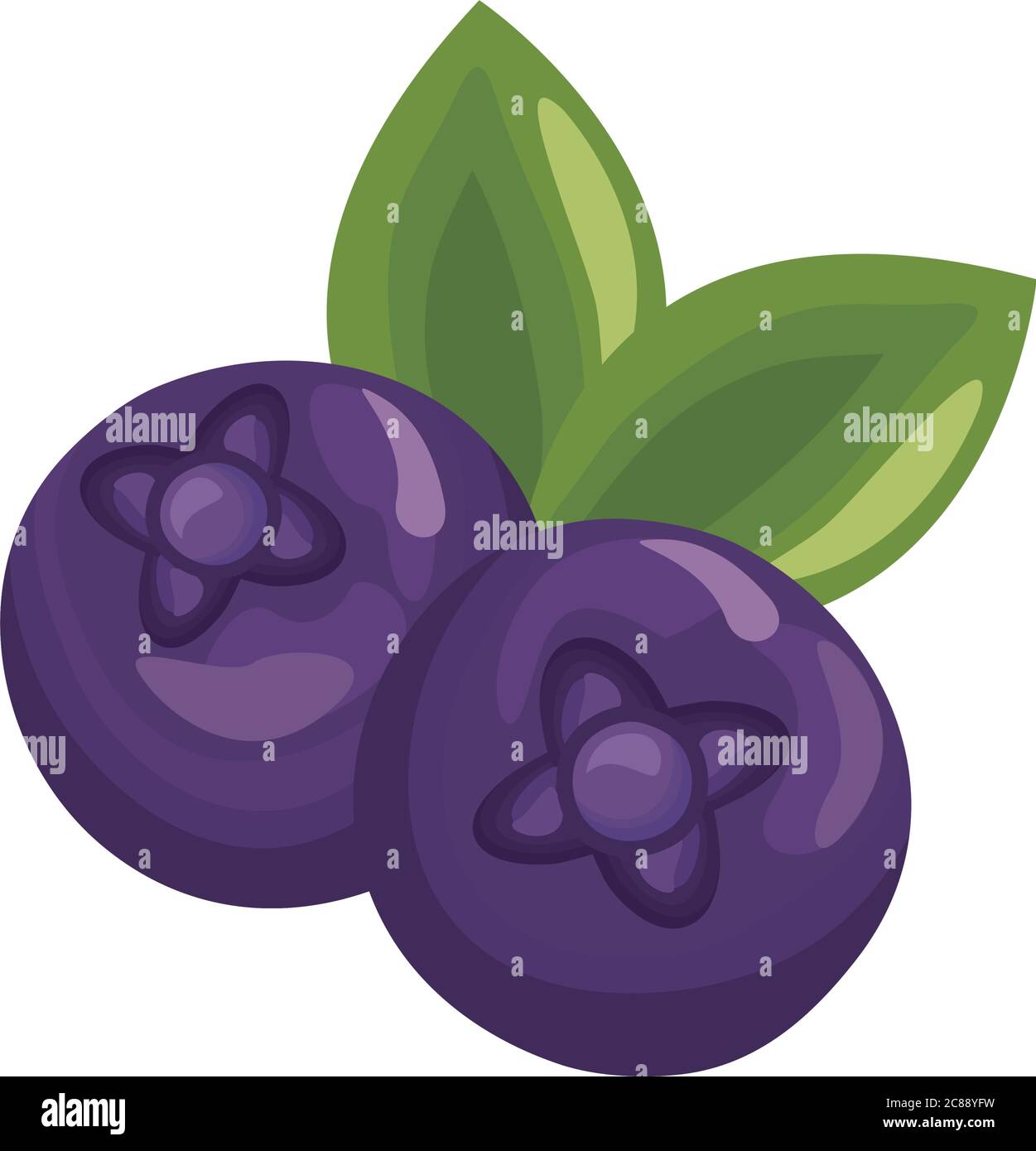 blueberry fresh delicious fruit detailed style icon vector illustration ...