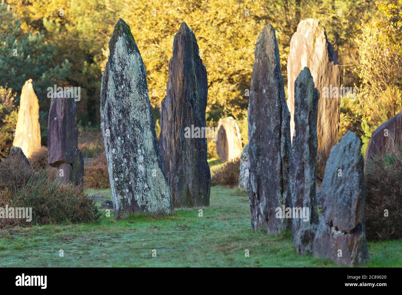 Standing Stones (Menhir) of Monteneuf near Broceliande forest, Brittany ...