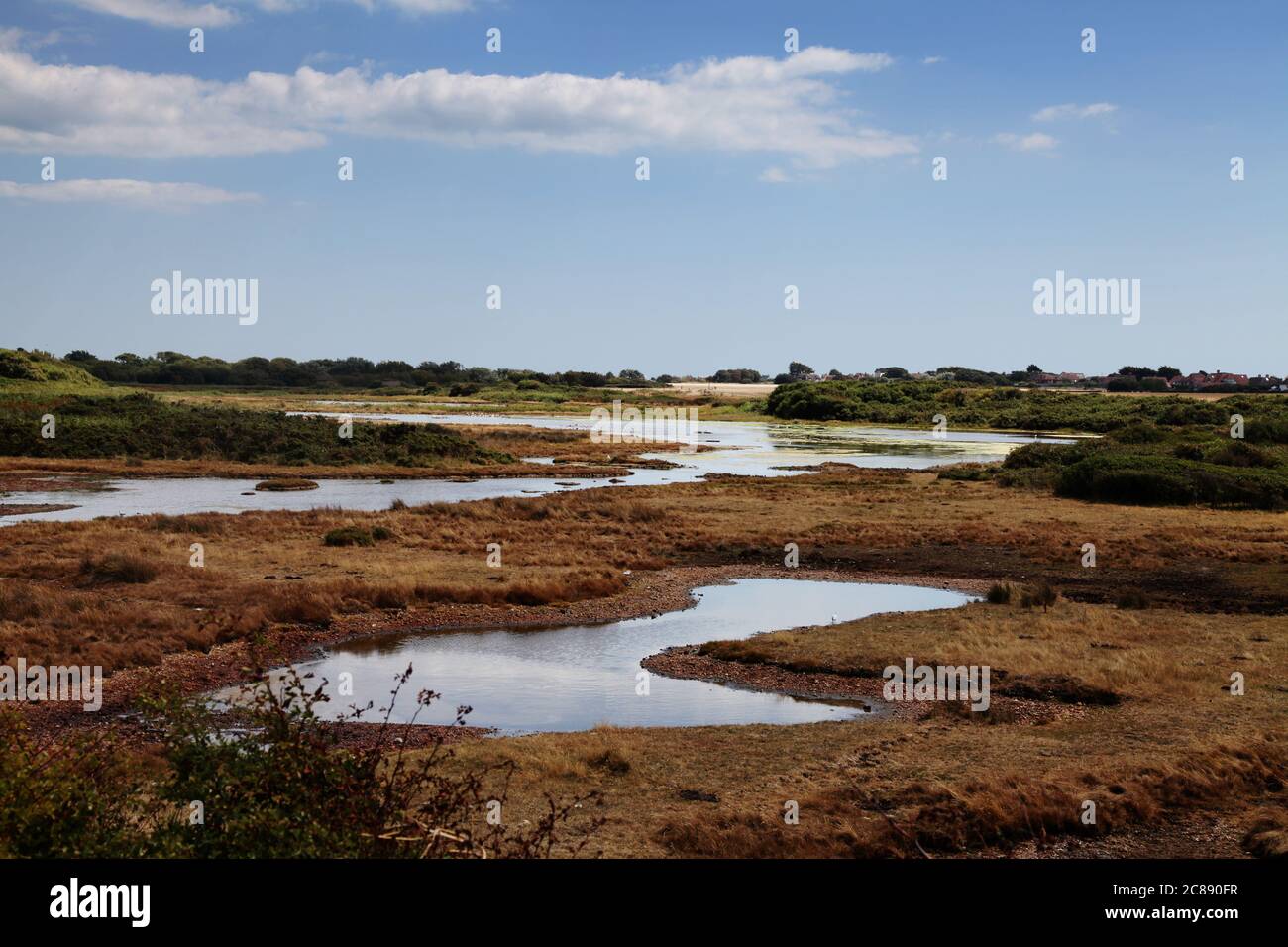 Western Marshlands England