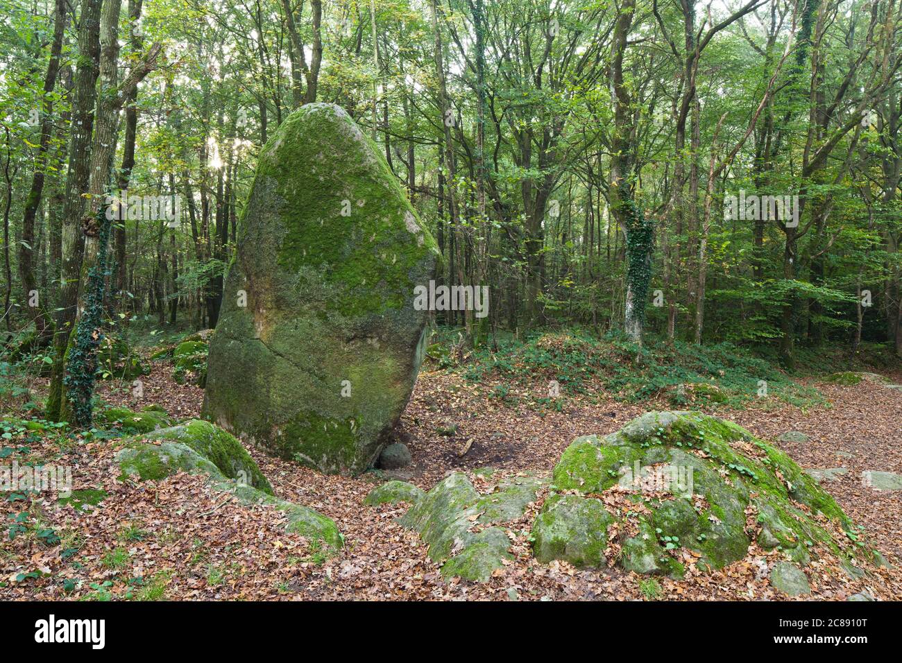 Menhir Monolith Megalith Stone High Resolution Stock Photography and ...