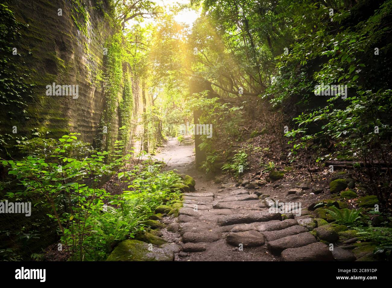 Nokogiriyama jusshu ichiran observatory hi-res stock photography and ...