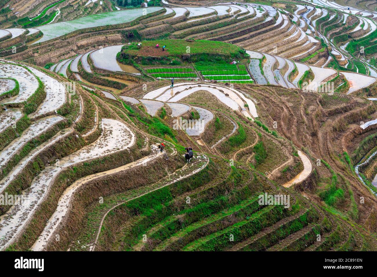 Asia china rice terraces rice farmers hi-res stock photography and ...