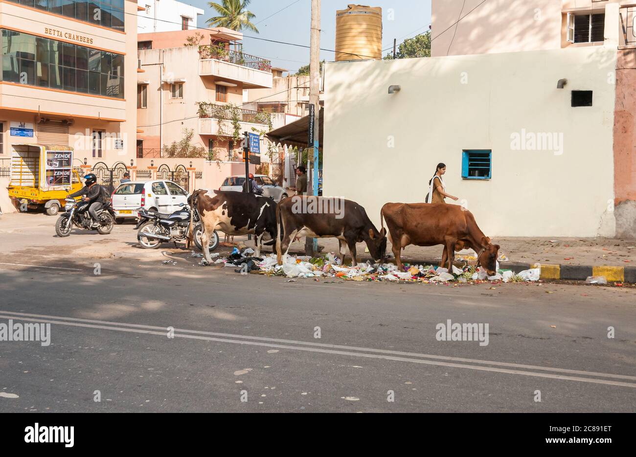 Garbage in bangalore hi-res stock photography and images - Alamy