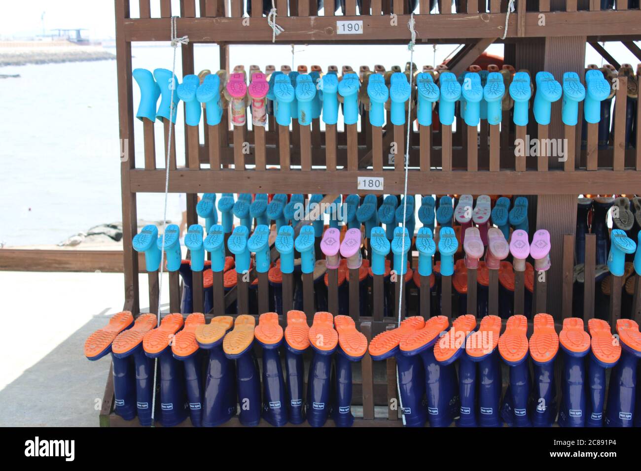 Clam digging hi-res stock photography and images - Alamy