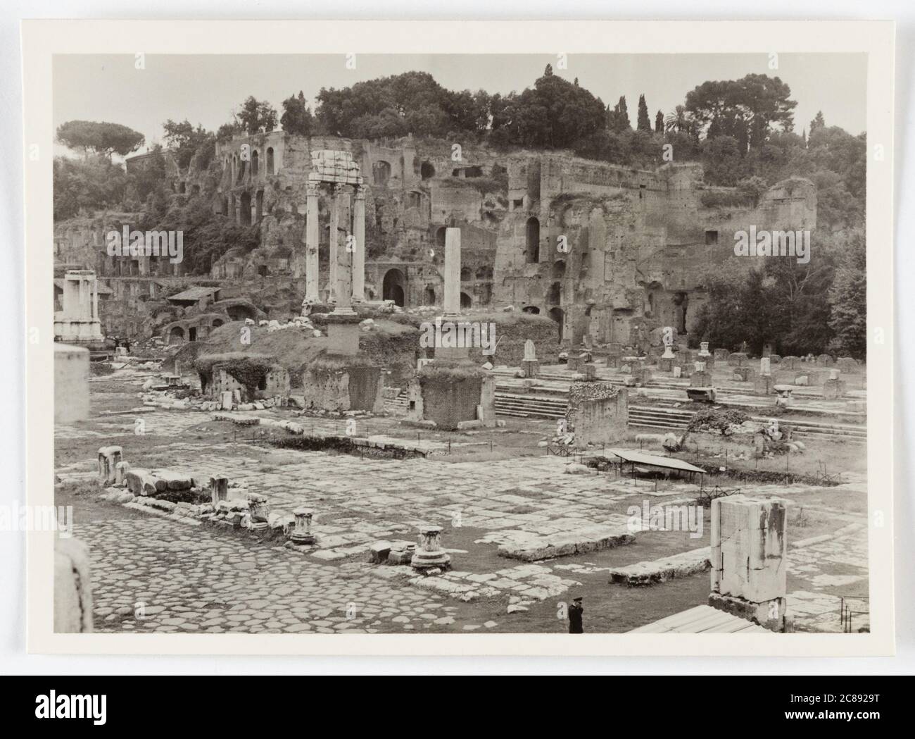The roman forum in October 1951, Rome, Italy Stock Photo - Alamy