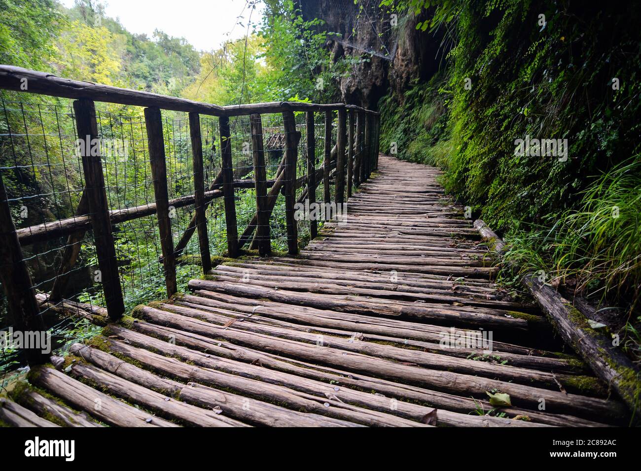 Photo Picture of Deep Forest Pathway Wooden Footbridge Stock Photo - Alamy
