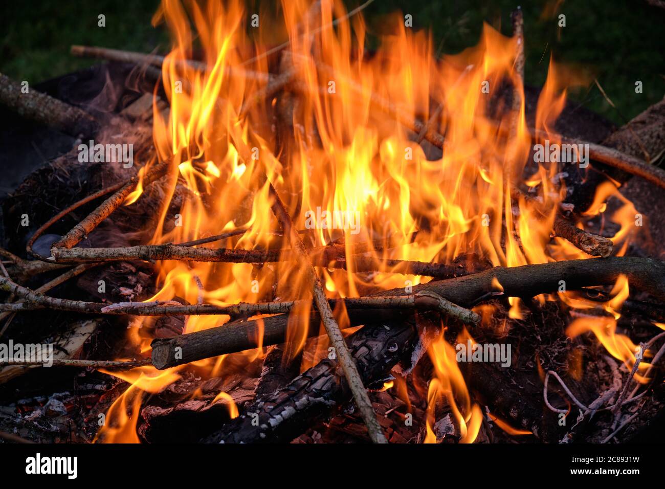 A natural bonfire with wooden sticks and branches is burning in a fire ...