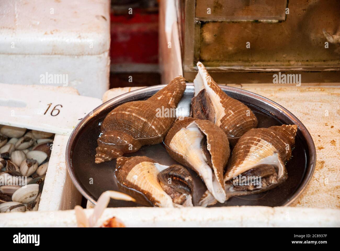 Wet market in Hong Kong city, selling seafood, live very fresh seafood ...