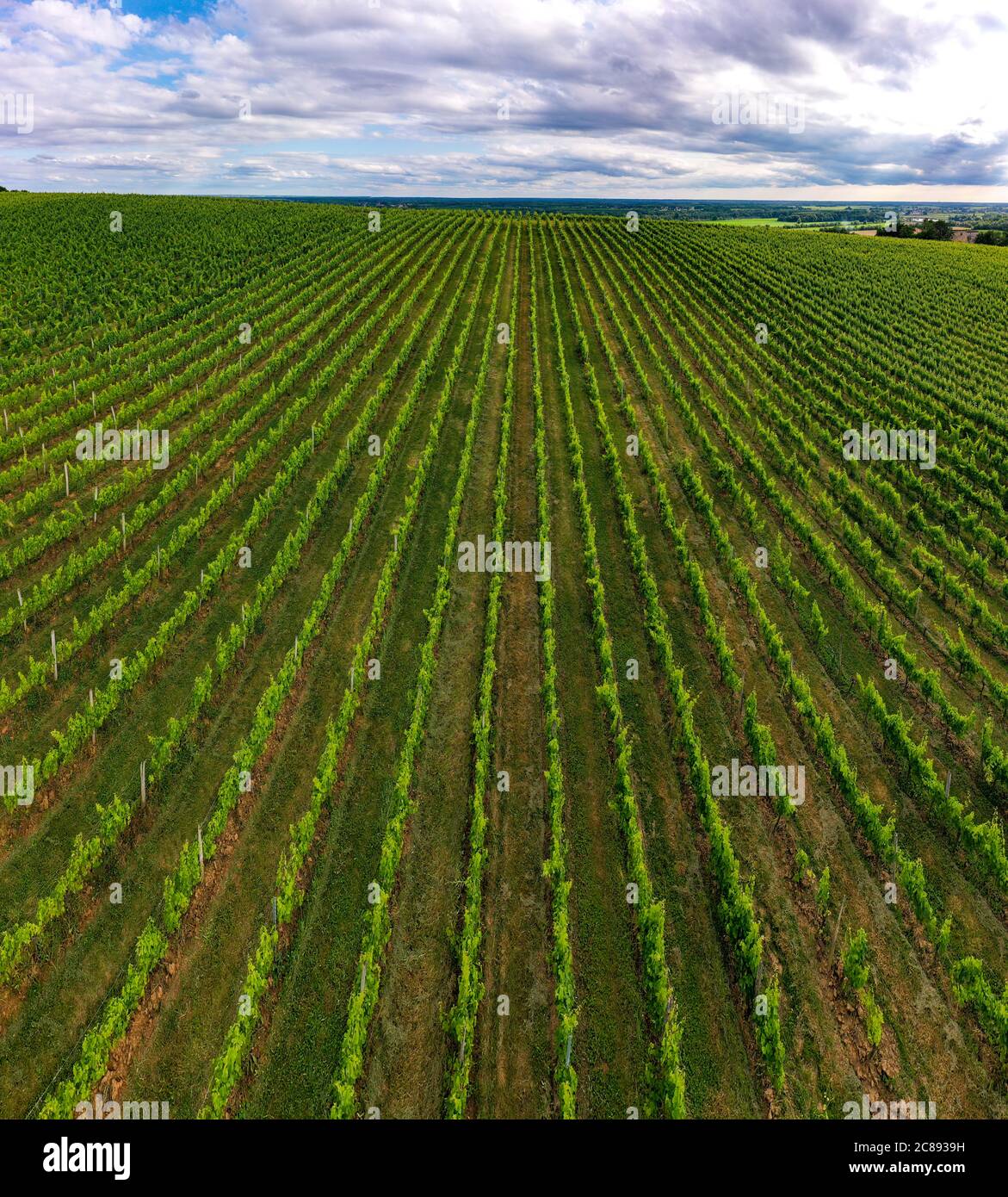 Aerial view, Sunset landscape, Bordeaux wineyard, Langoiran, Gironde ...