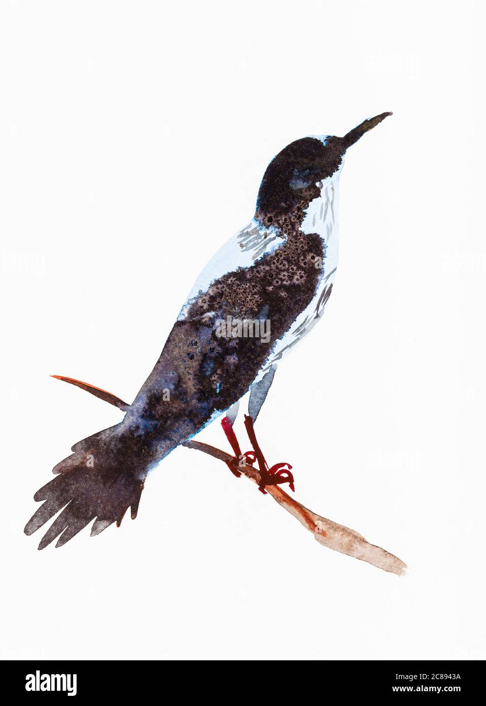 Black bird on gray Cut Out Stock Images & Pictures - Alamy