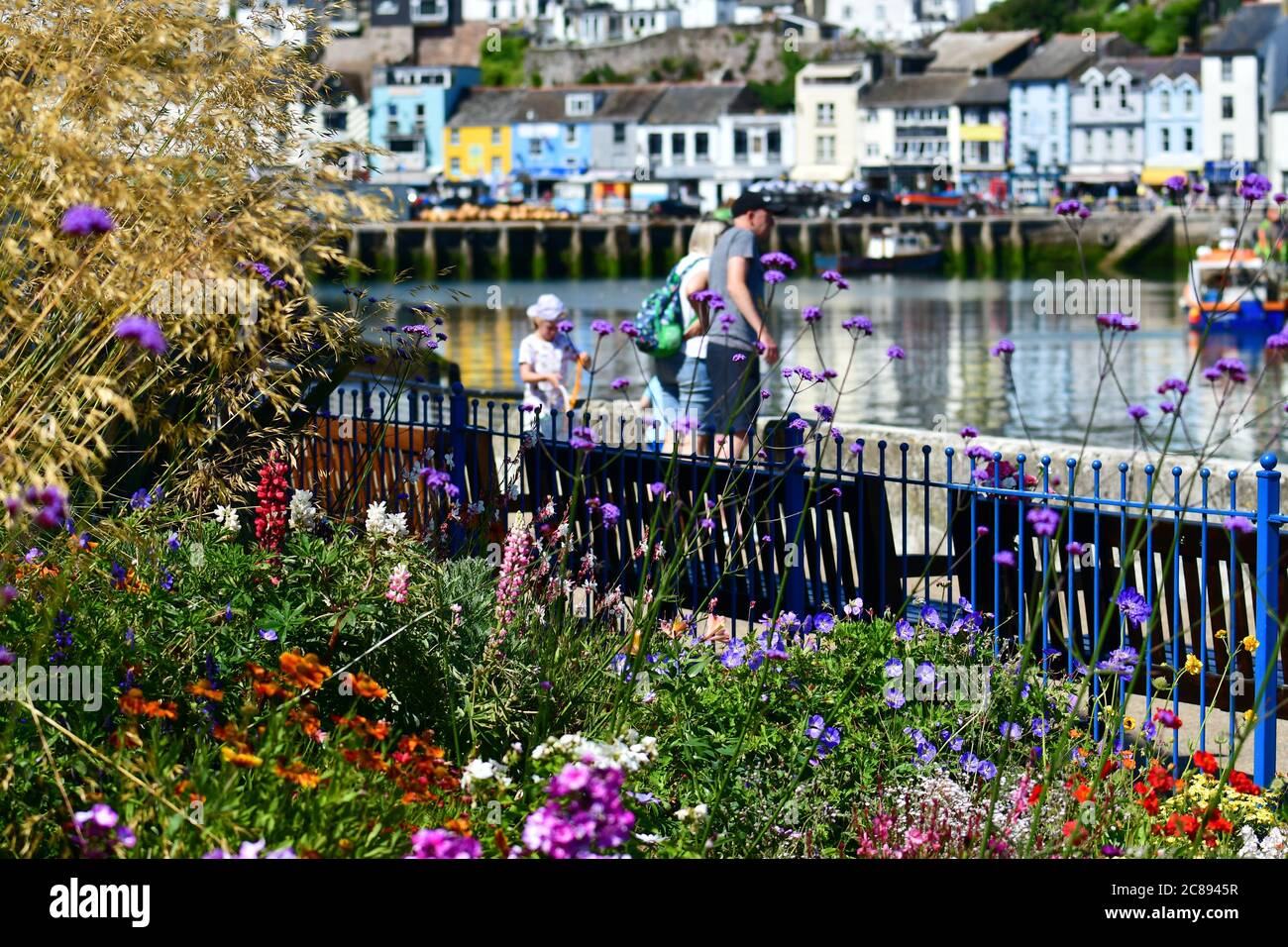 Harbourside garden hi-res stock photography and images - Alamy
