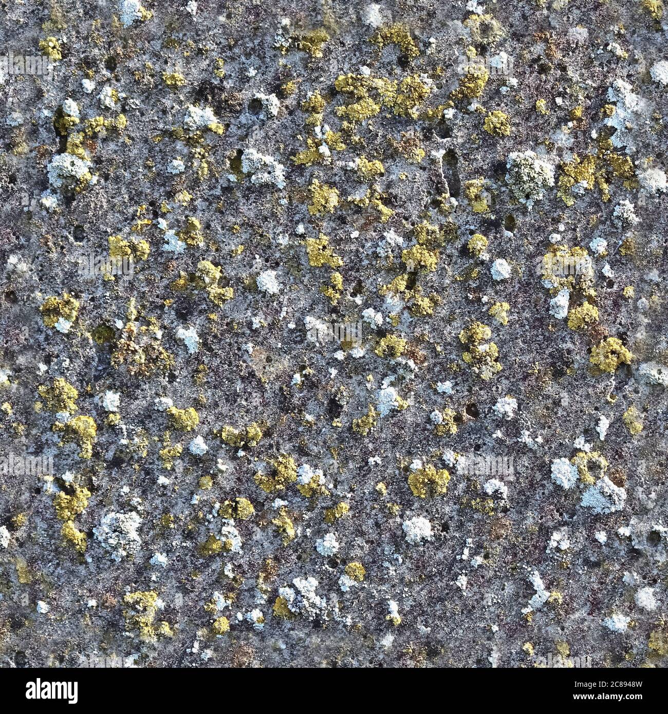Photo realistic seamless texture of a tileable concrete wall with high ...