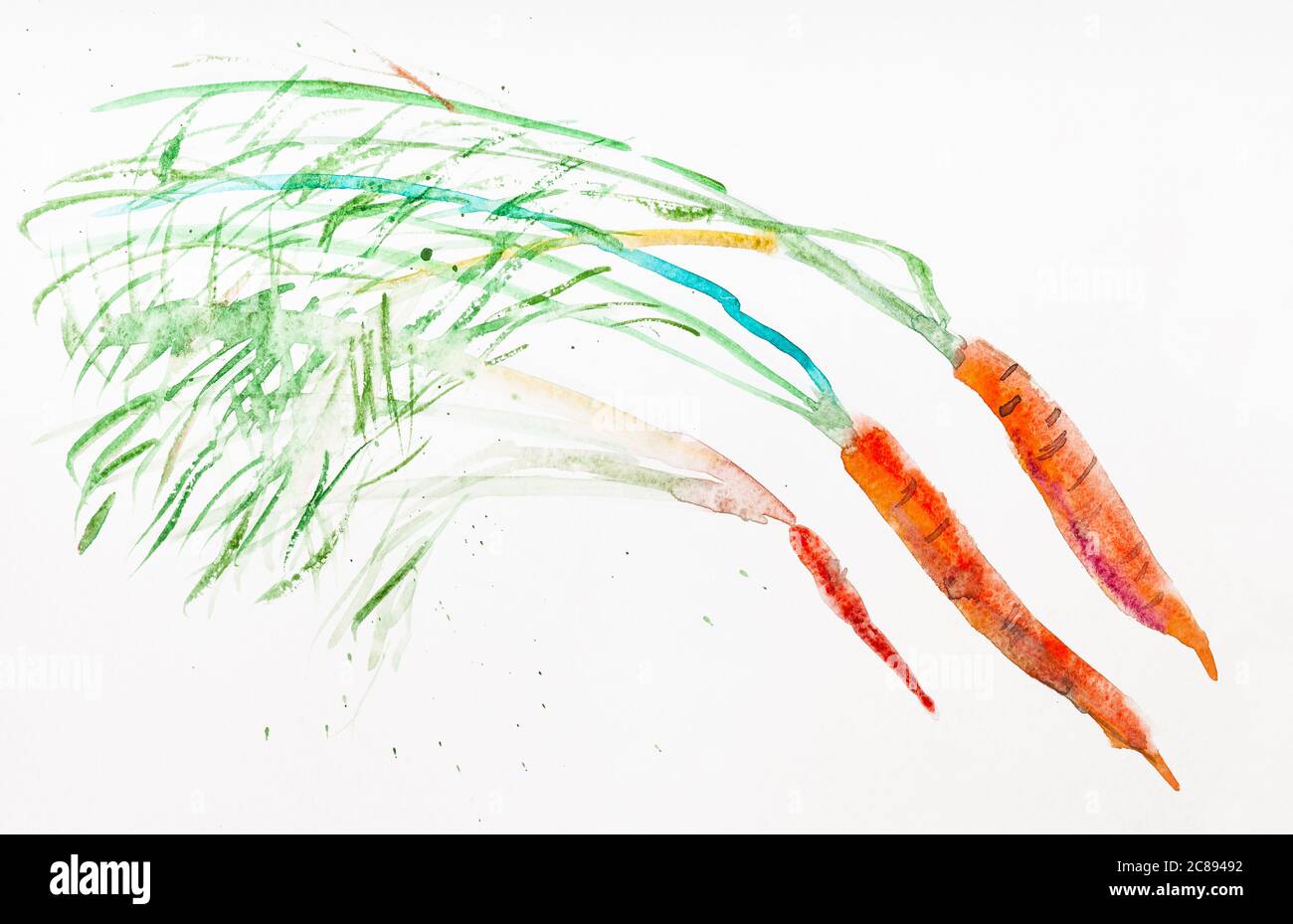 Hand drawn carrots hi-res stock photography and images - Alamy