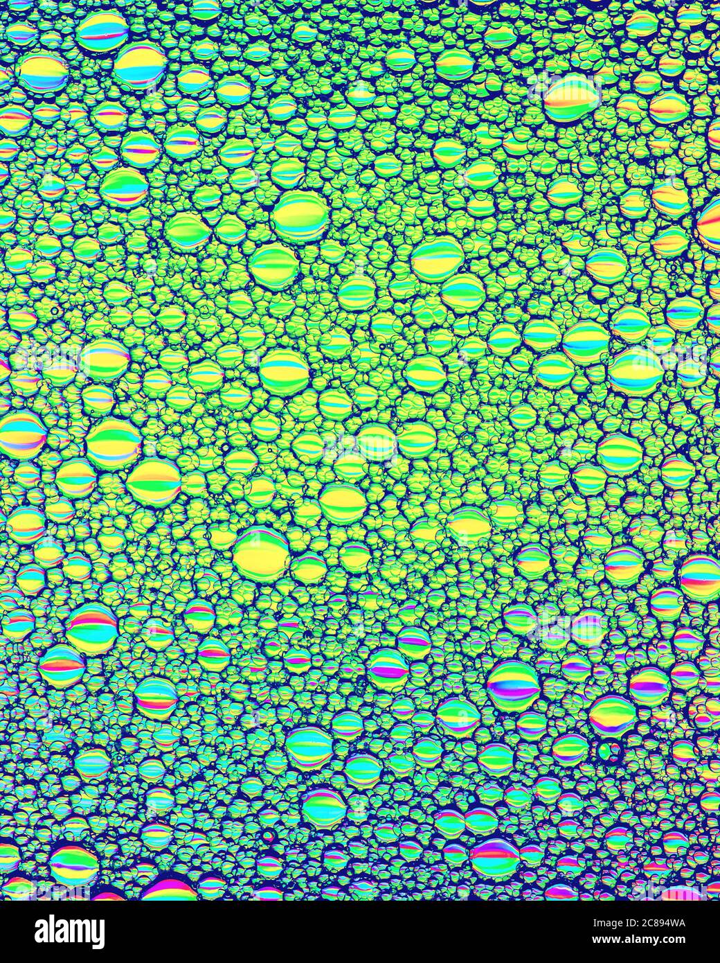 Colorful drops of oil on the water. Circles and ovals. Abstract bright ...