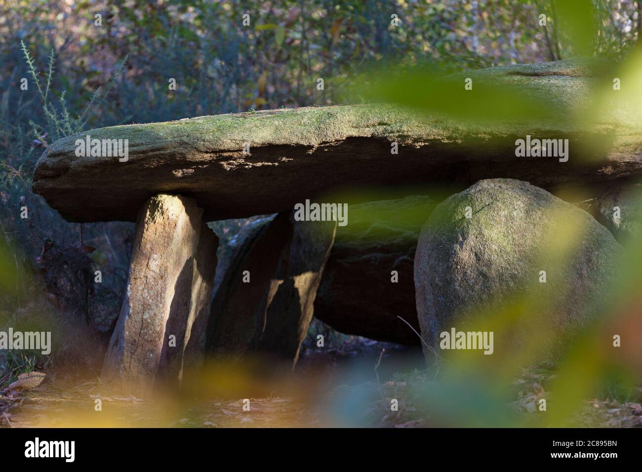 Dolmen megalith bretagne hi-res stock photography and images - Alamy