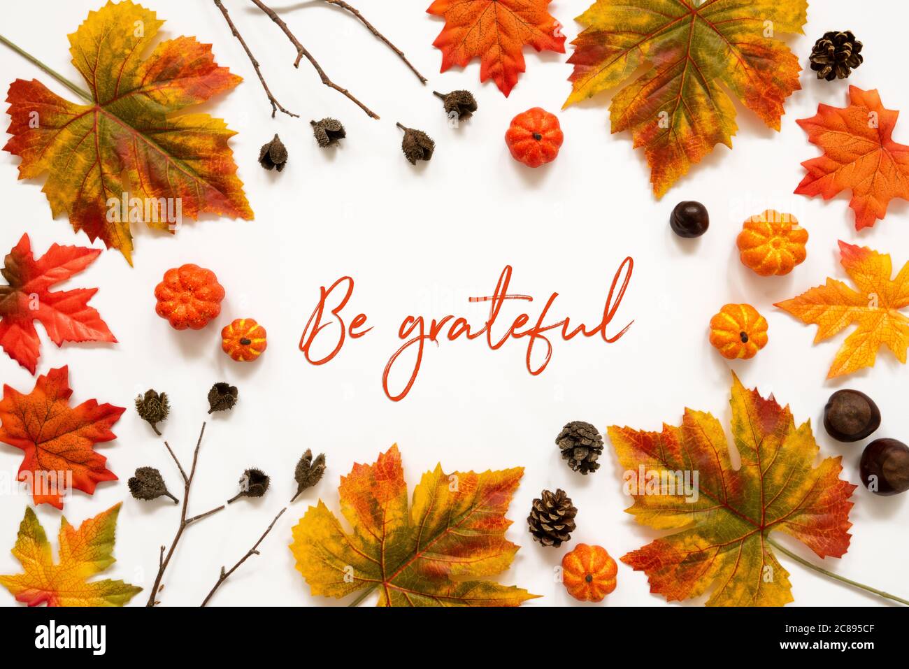 Bright Colorful Autumn Leaf Decoration, English Text Be Grateful Stock ...