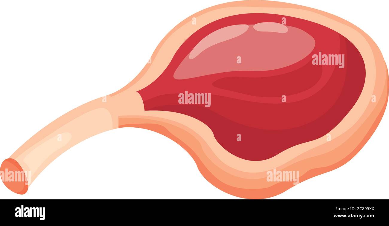 rib meat cut detailed style icon vector illustration design Stock ...