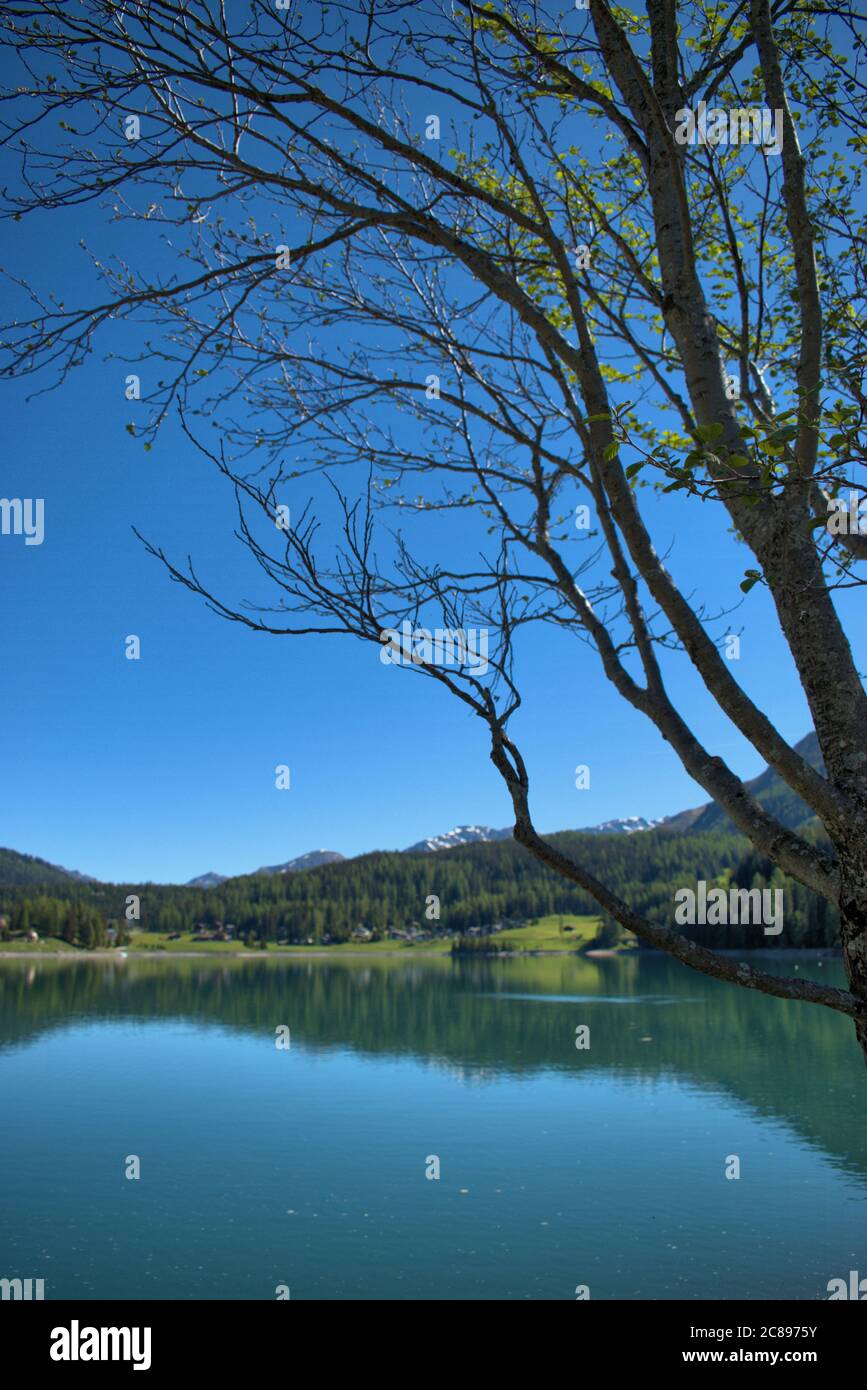 Lake of Davos Stock Photo - Alamy