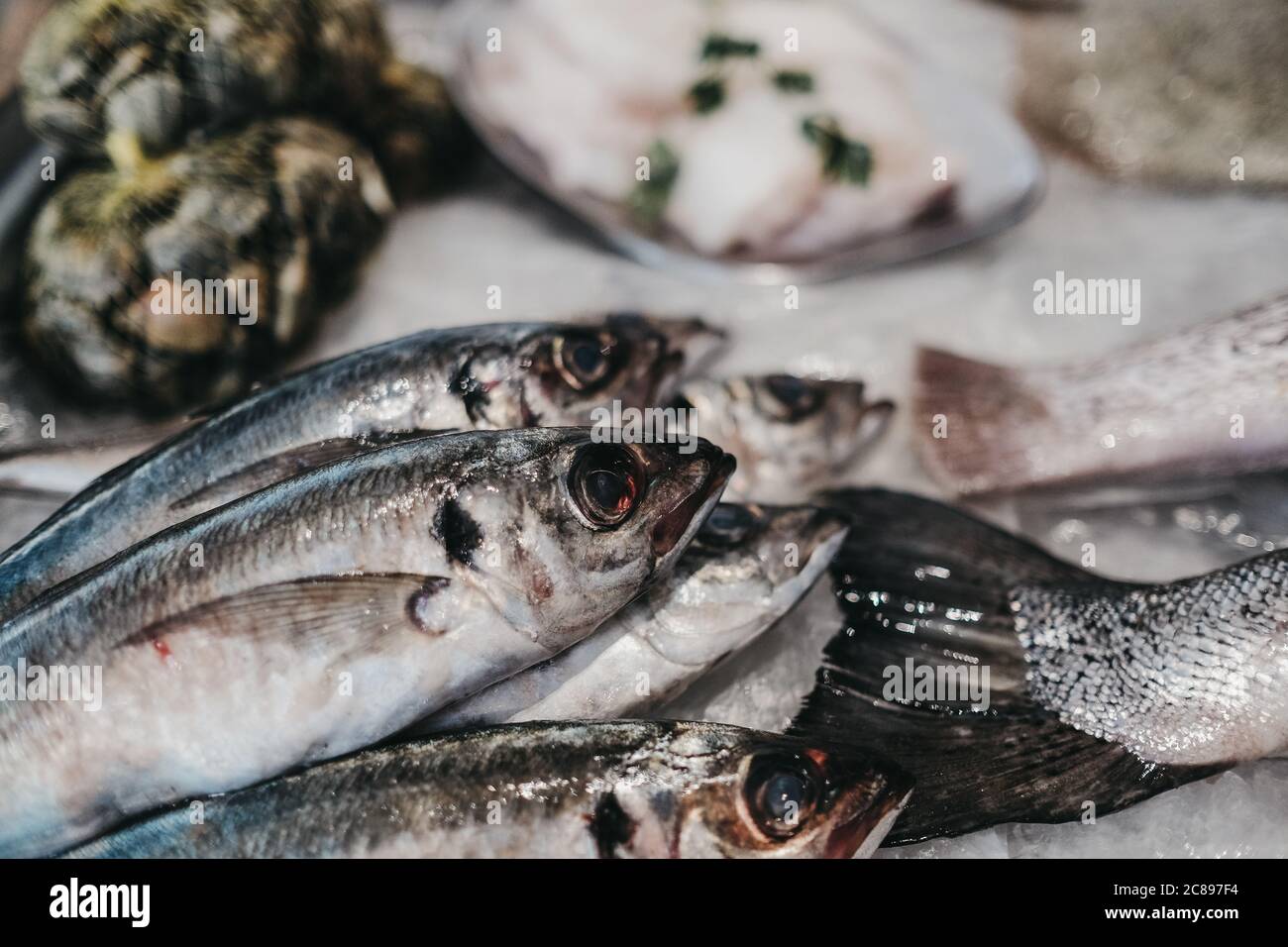 Closeup shot of fresh fish in a bunch placed in the market Stock Photo ...