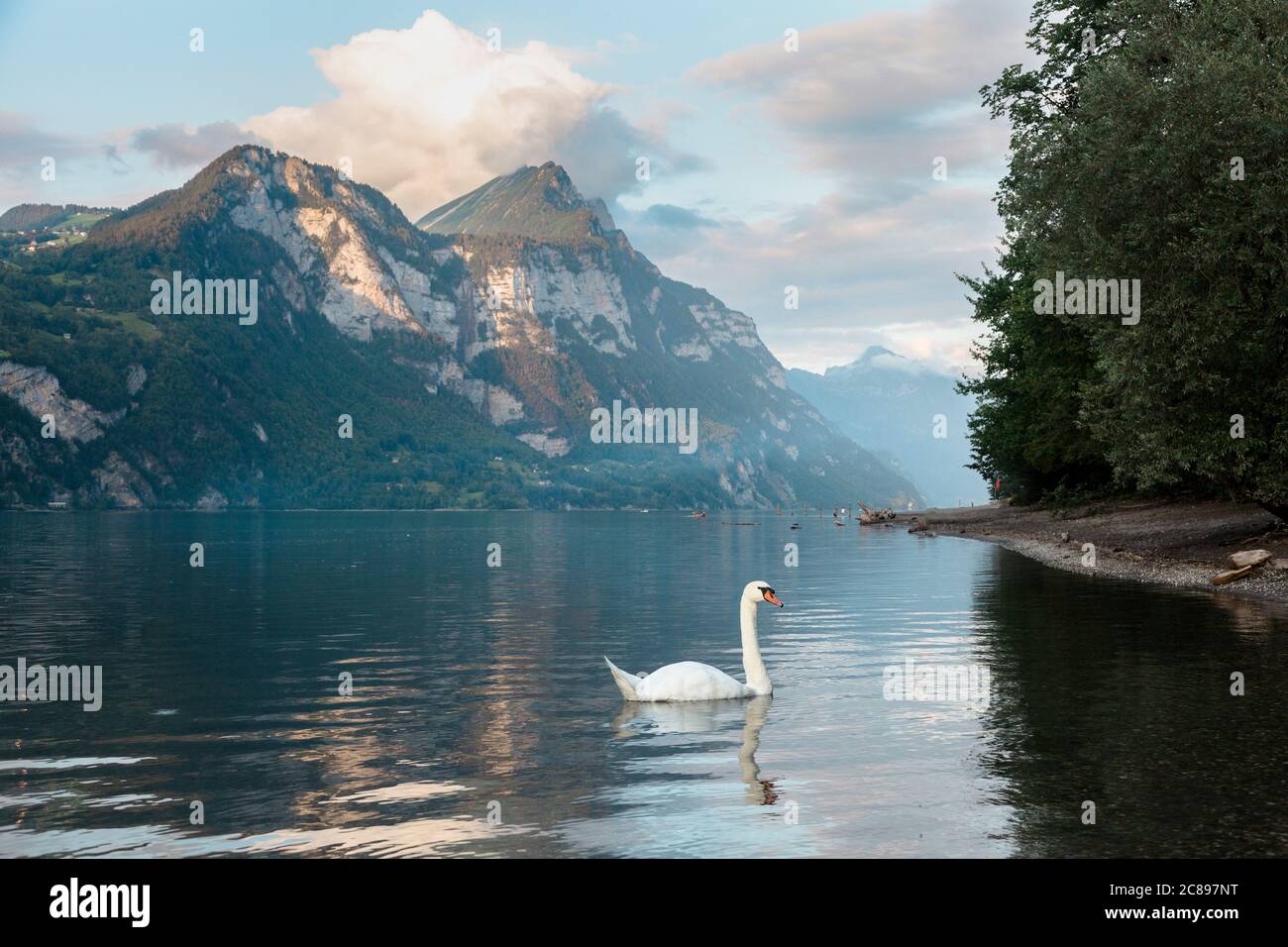 Swan valley swan mountain range hi-res stock photography and images - Alamy