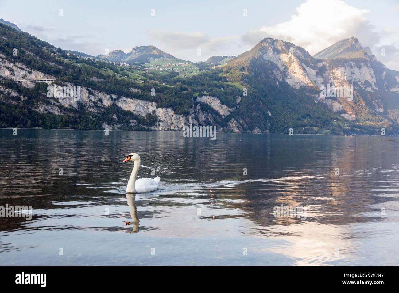 Swan valley swan mountain range hi-res stock photography and images - Alamy