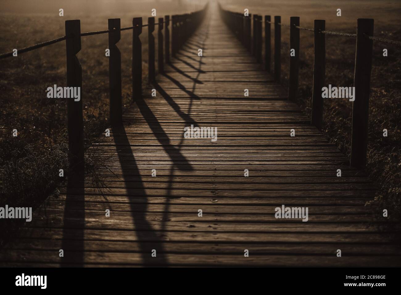 Magical view of a wooden pathway in nature at the sunset - perfect for ...