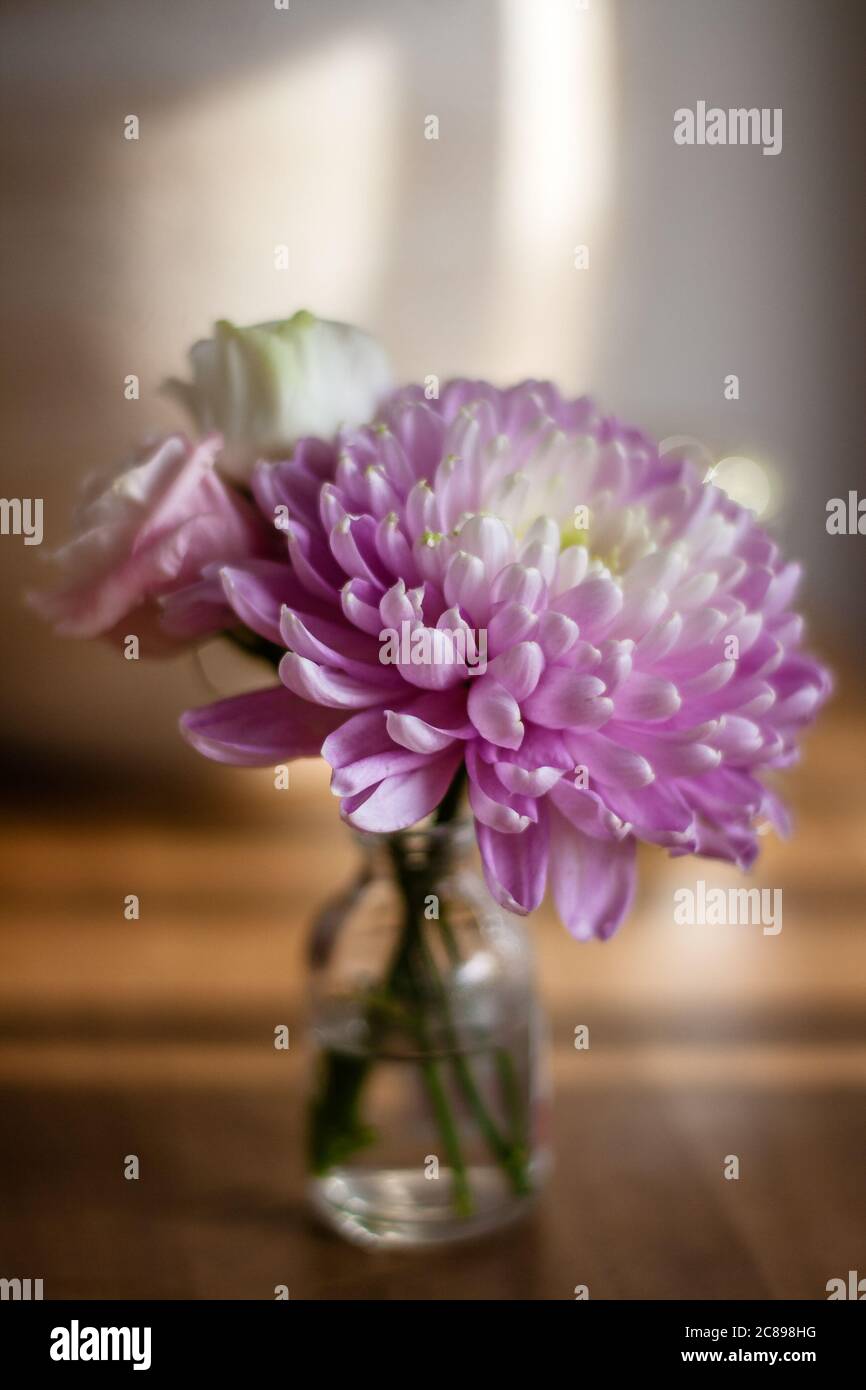 Vase of cut flowers hi-res stock photography and images - Alamy