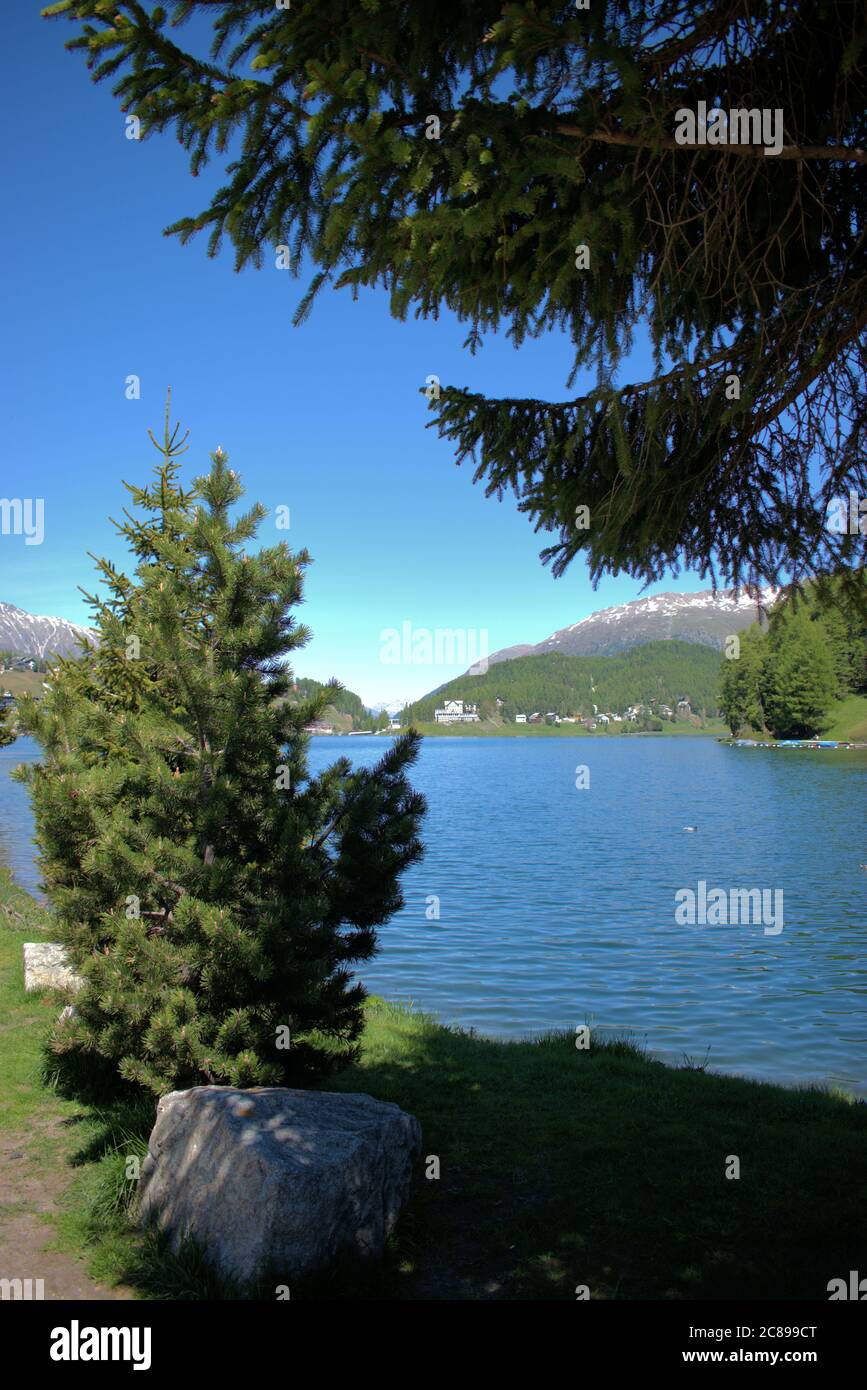 Lake of Saint Moritz on a very beautiful blue sky day Stock Photo - Alamy