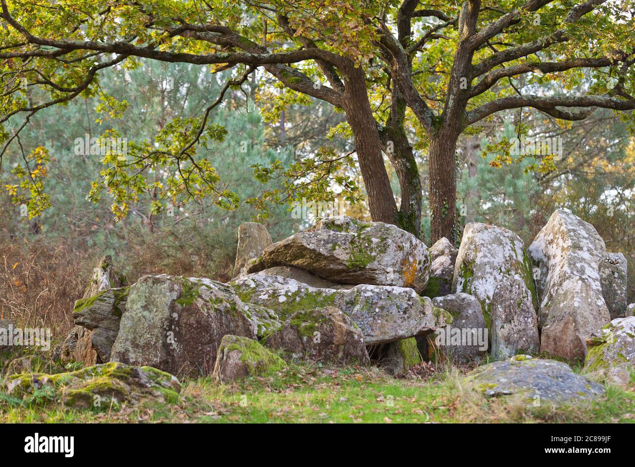 Menhir monolith megalith stone hi-res stock photography and images - Alamy