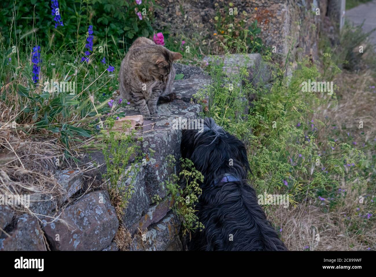 Look of curiosity hi-res stock photography and images - Alamy