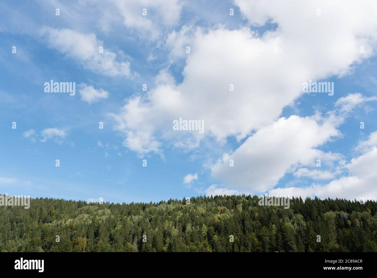 Mountain road trip in a national park Stock Photo - Alamy