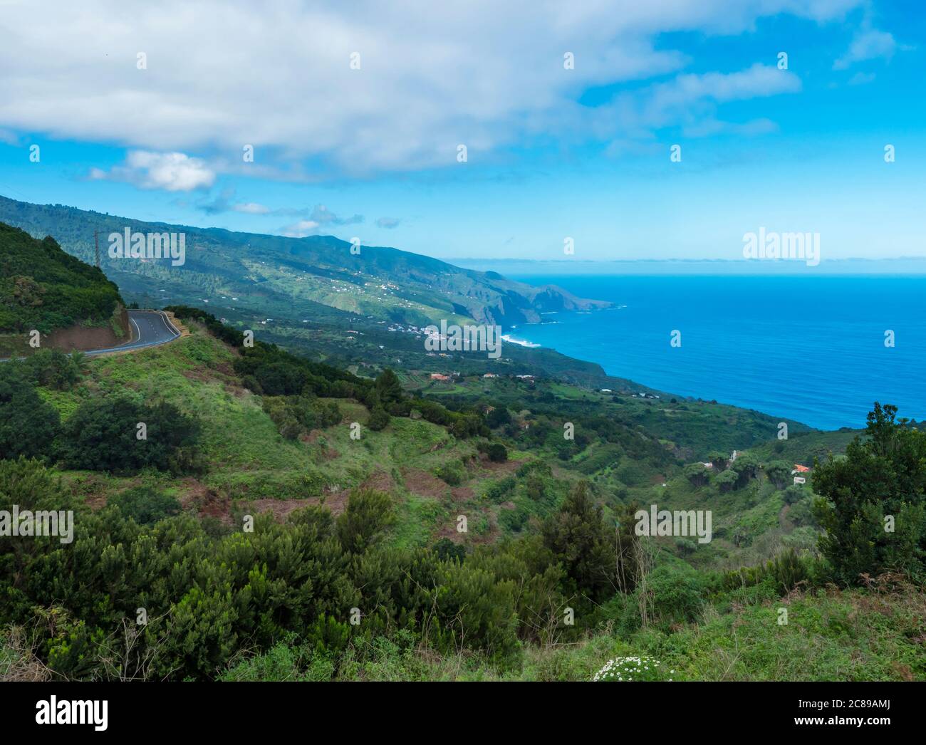 Subtropical landscape with green hills, tree, houses, winding alphalt ...