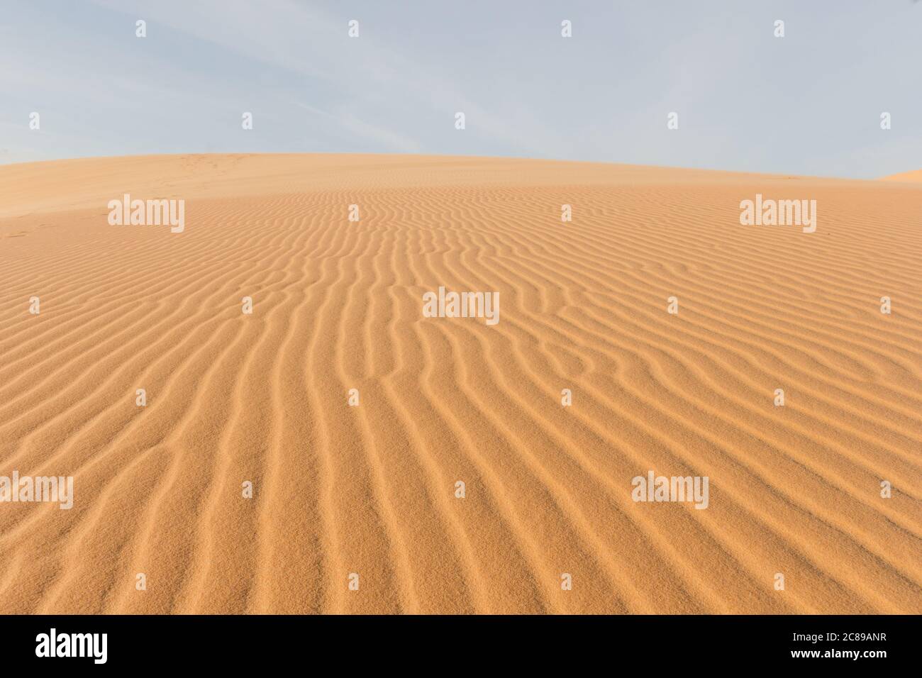Neat lines formed by wind on the desert Stock Photo - Alamy