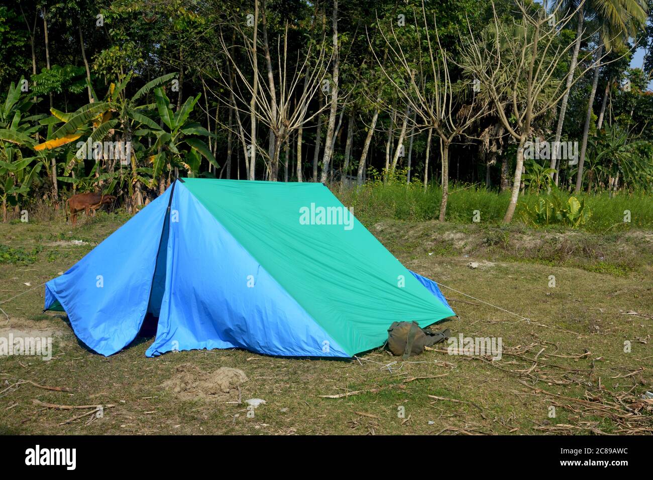 2x4 Frame For Tarp Shelter