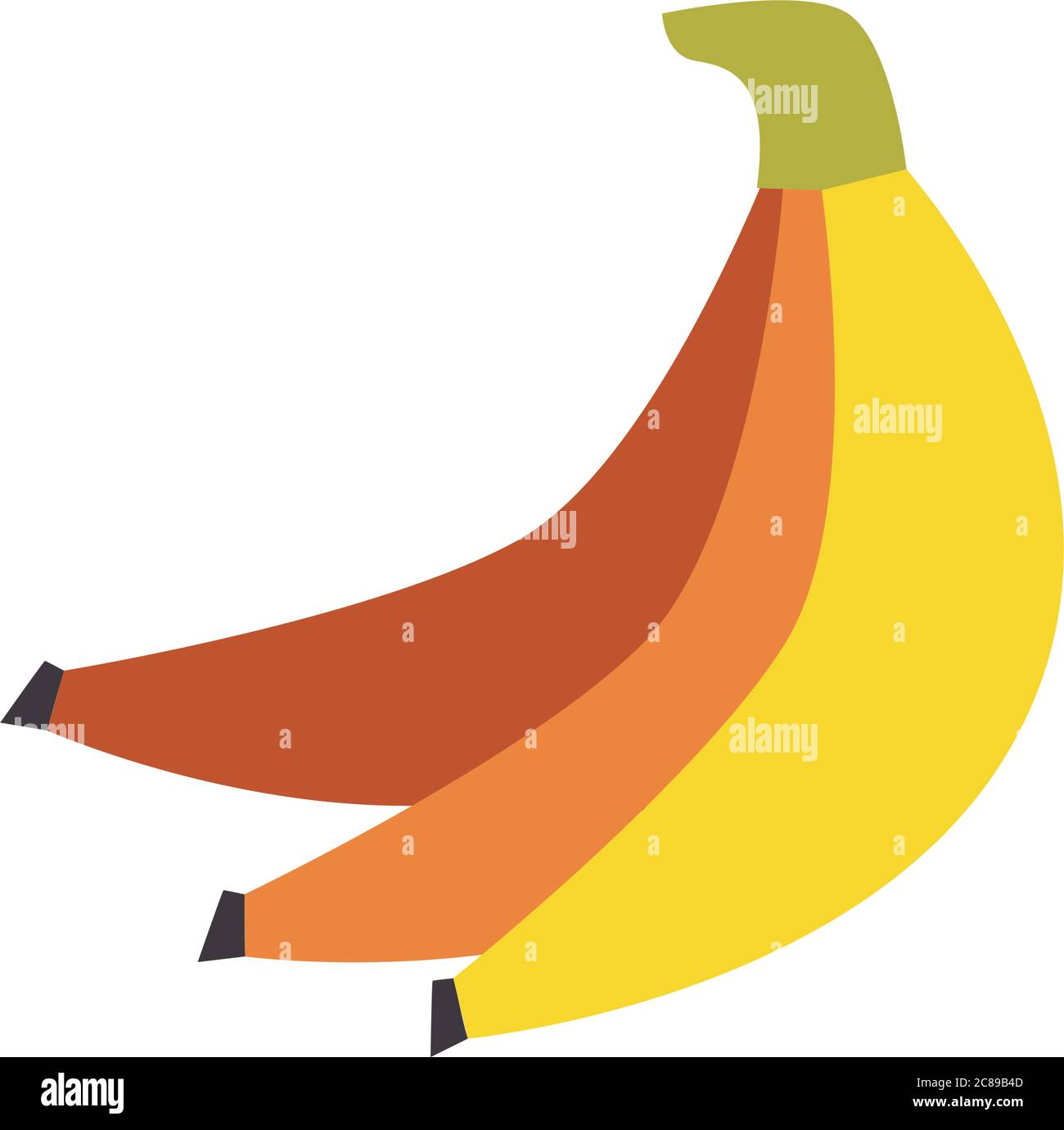 Stem of bananas Stock Vector Images - Alamy