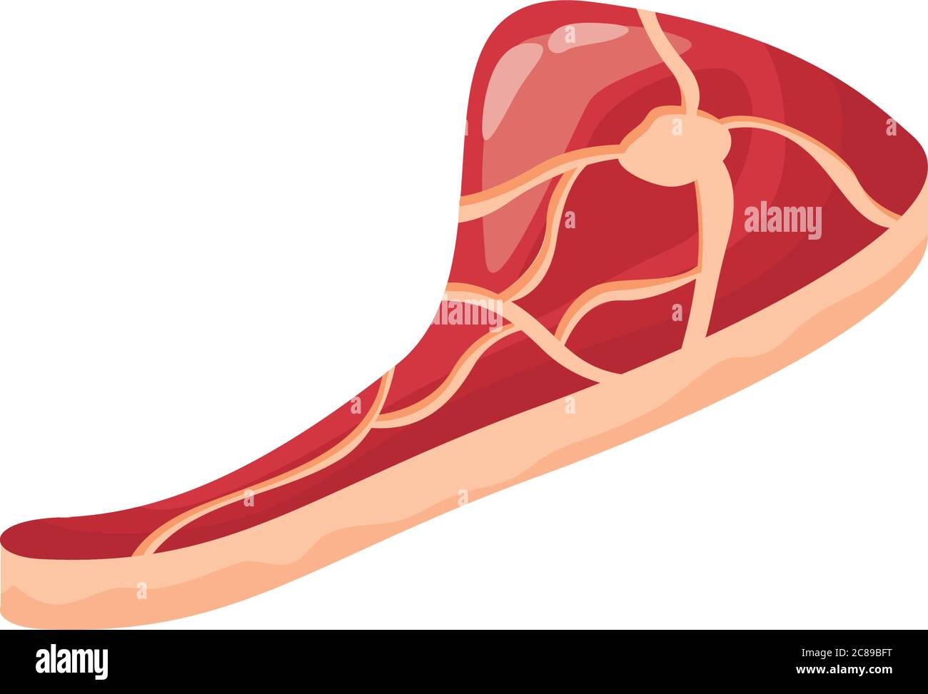 meat cut detailed style icon vector illustration design Stock Vector ...