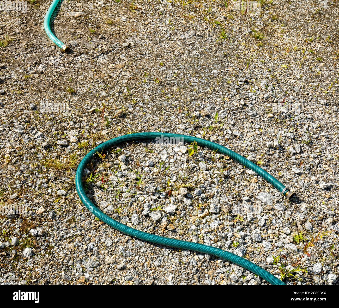 Two ends of disconnected , different colored green water hoses laying ...