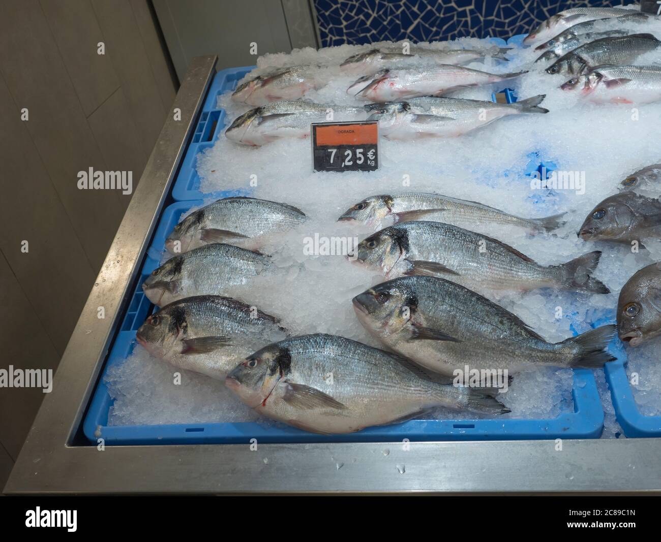 close up cold iced sea fish on ice gilt-head sea bream Sparus aurata ...