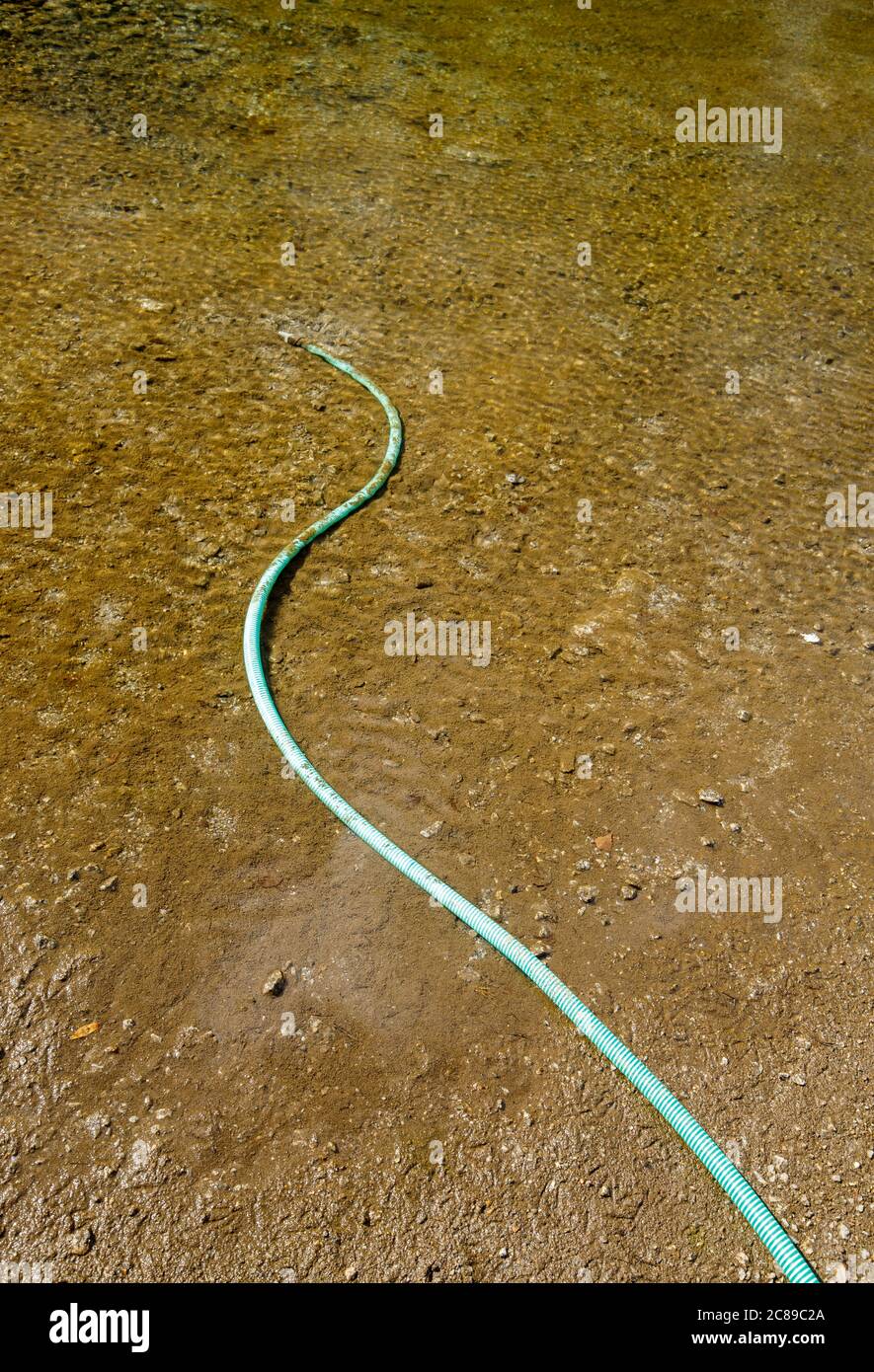 Green water hose going into pool of water Stock Photo - Alamy