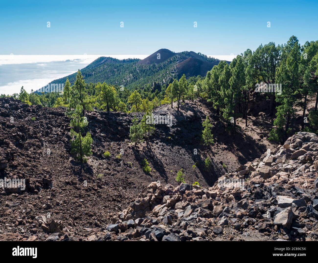 Beautiful volcanic landscape with lush green pine trees and colorful ...
