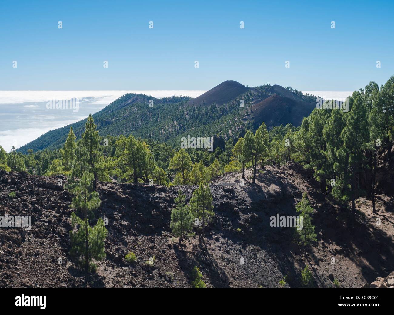 Beautiful volcanic landscape with lush green pine trees and colorful ...