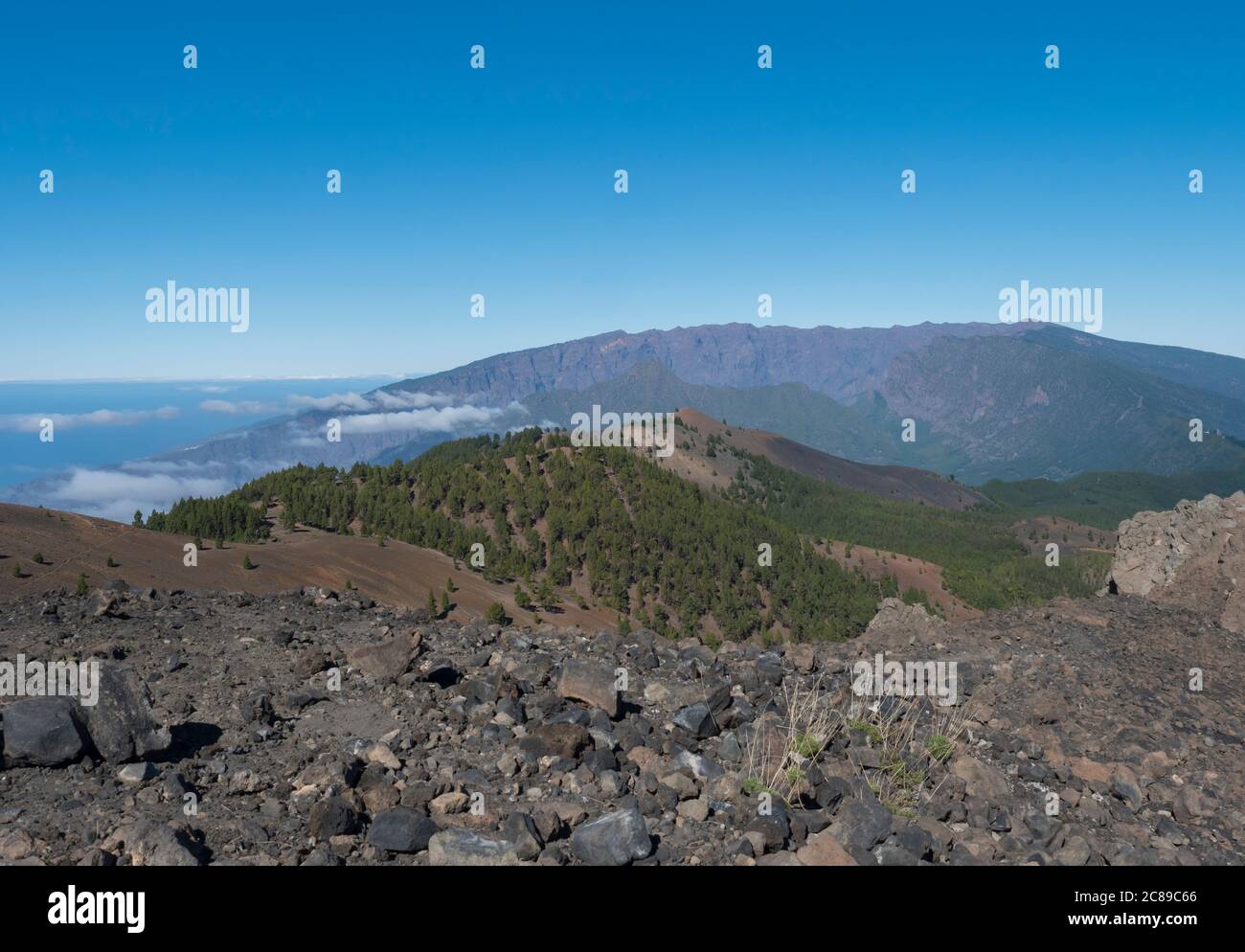 Beautiful volcanic landscape with lush green pine trees and colorful ...
