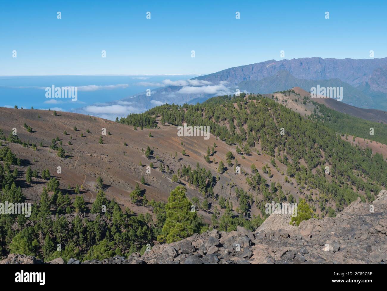 Beautiful volcanic landscape with lush green pine trees and colorful ...