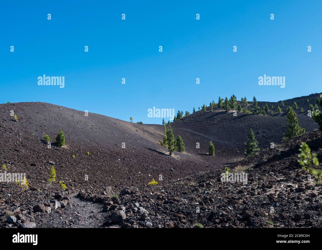 Beautiful volcanic landscape with lush green pine trees and colorful ...