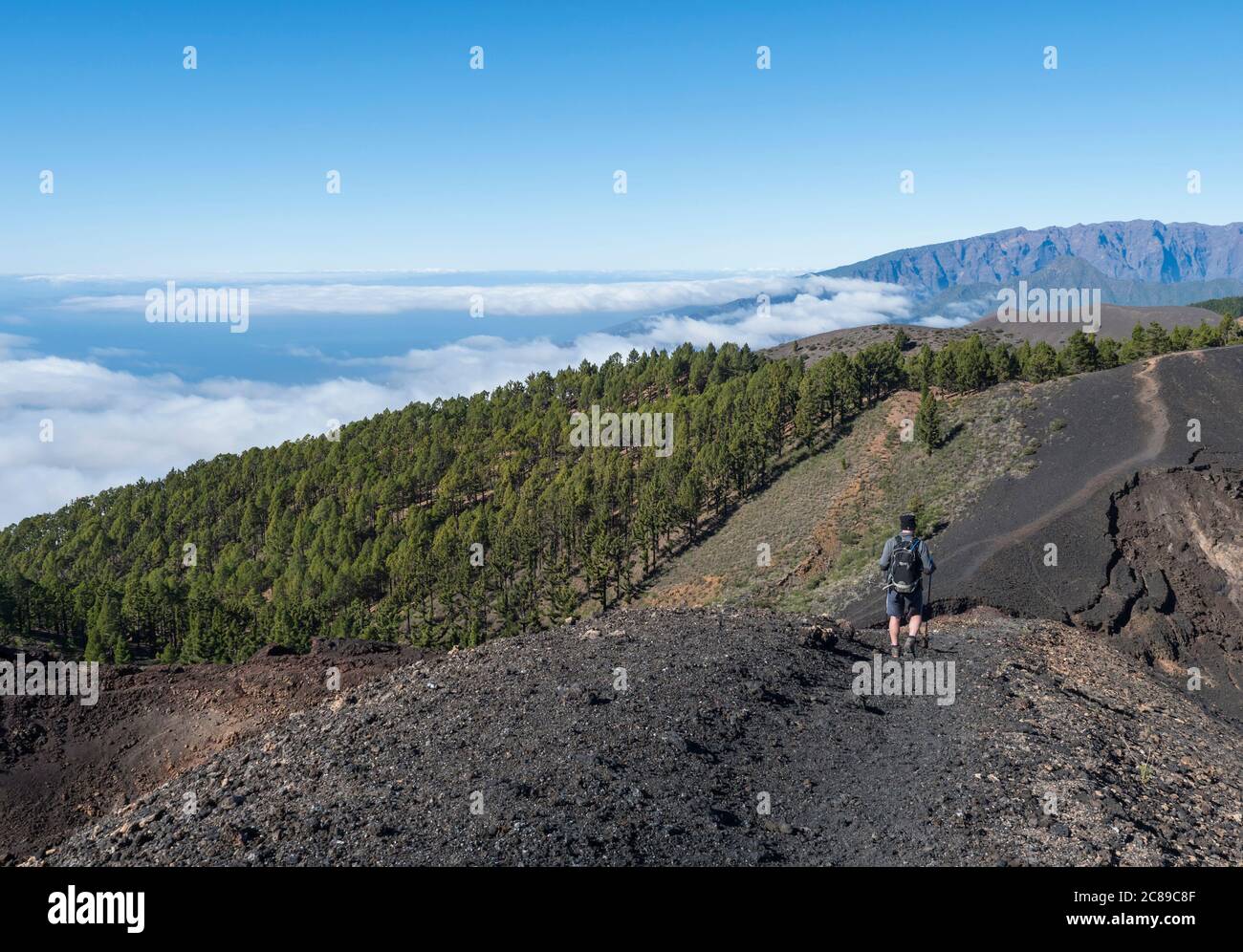 Beautiful volcanic landscape with lush green pine trees and colorful ...