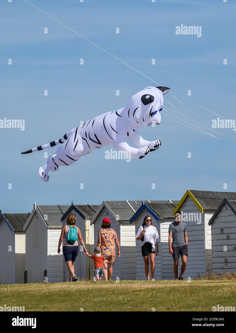 Giant cat kite hi-res stock photography and images - Alamy