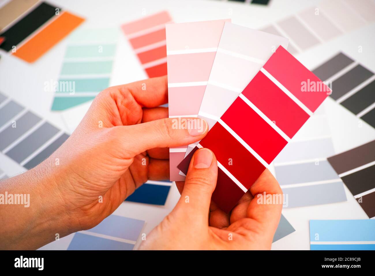 Multicolor Color Swatches in woman hands. Close-up Stock Photo - Alamy