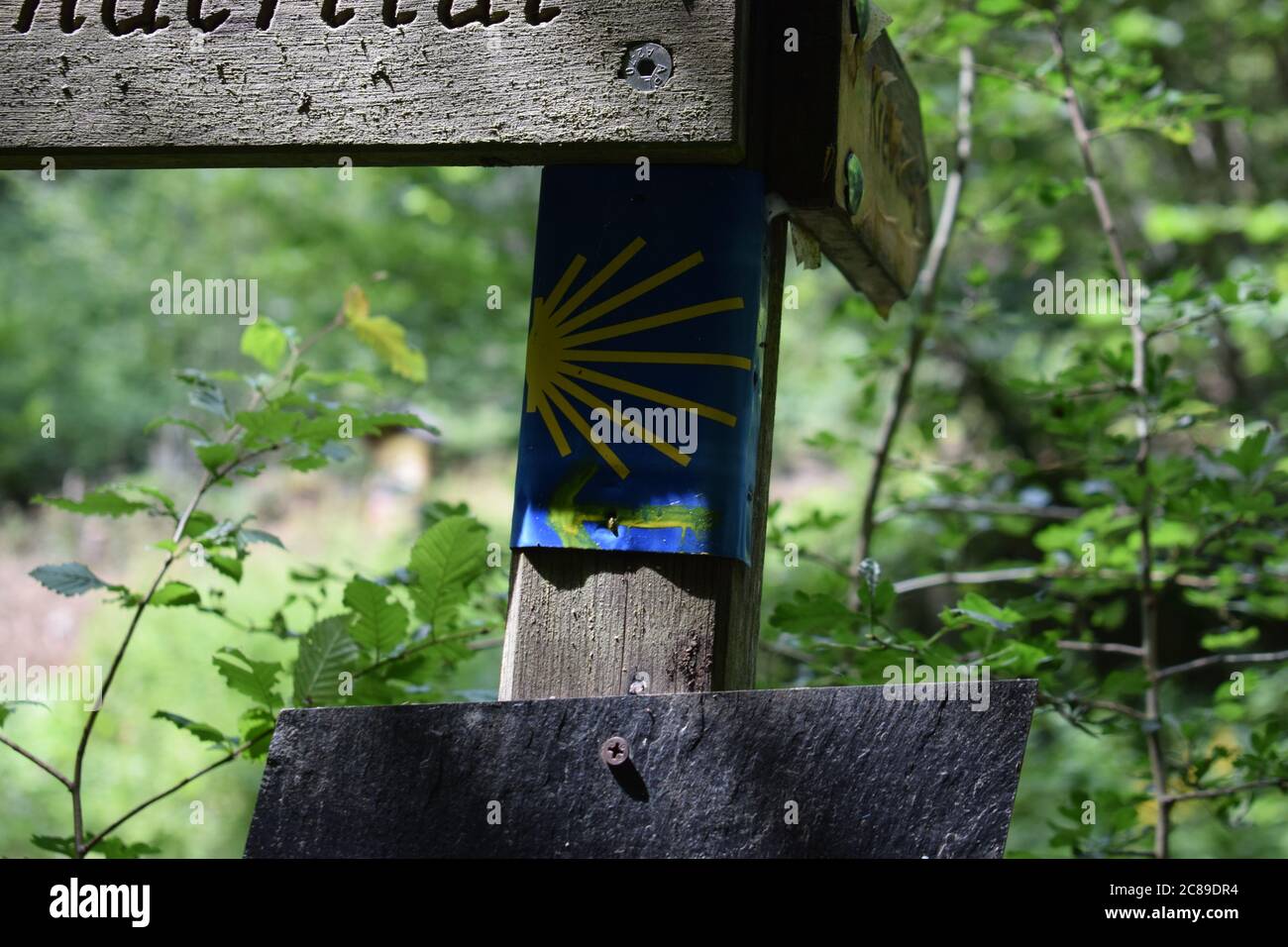 wooden hiking sign Stock Photo - Alamy
