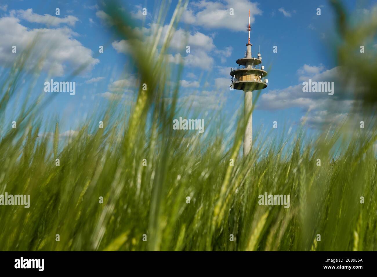 Weather station with various measuring instruments, high wheat field ...