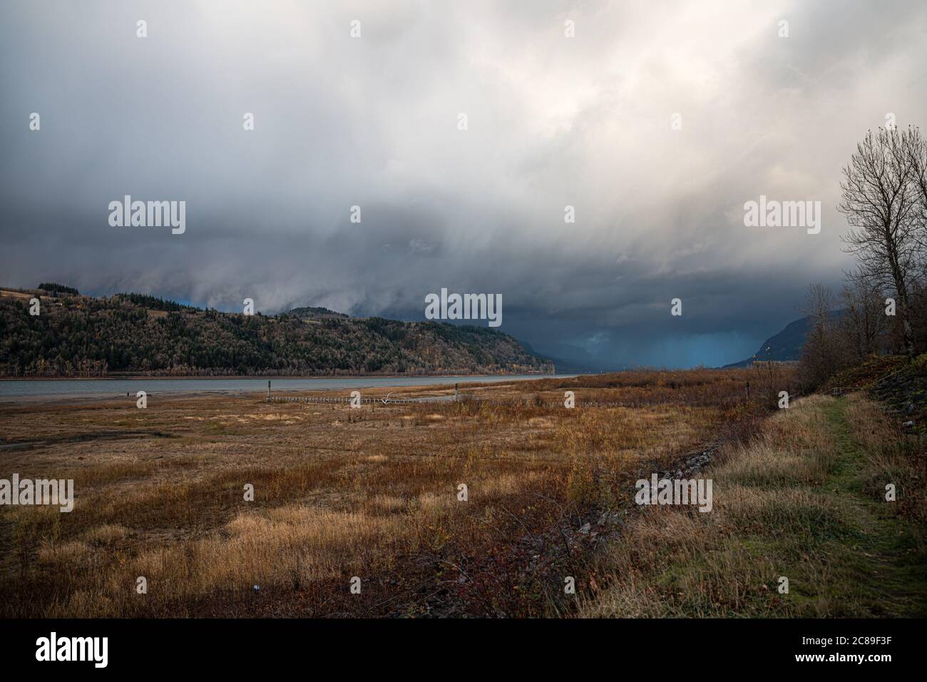 Rooster Rock State Park, OR Stock Photo - Alamy